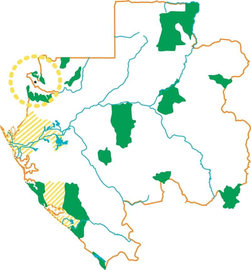 GBN—Program Diagram Animation | Fantastic Offense