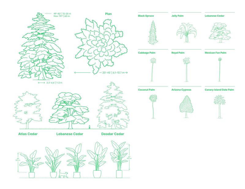 DIMS—Dimensions.com | Fantastic Offense