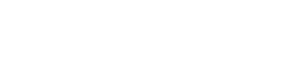 Ice Edge Business Solutions