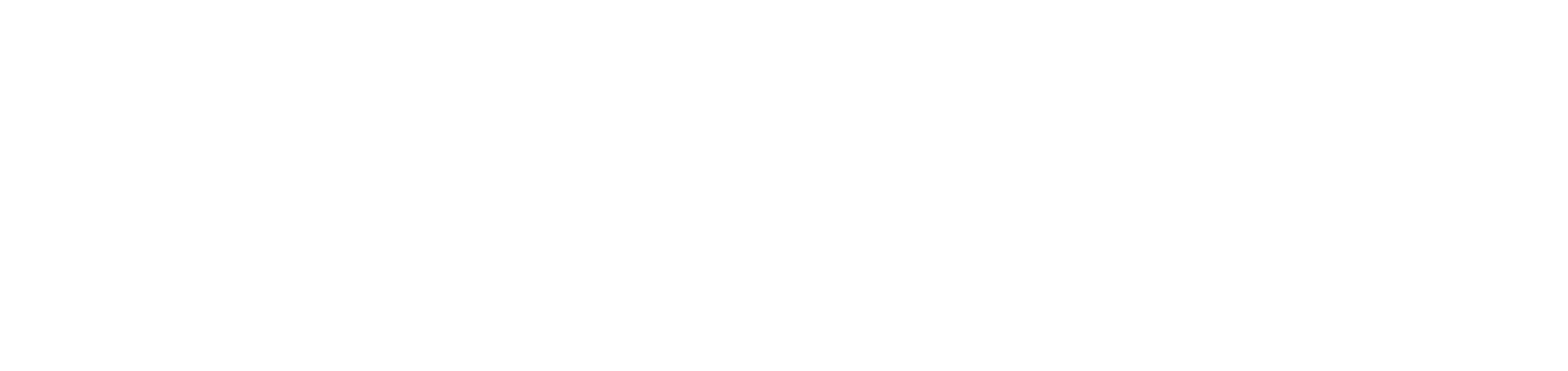 Ice Edge Business Solutions