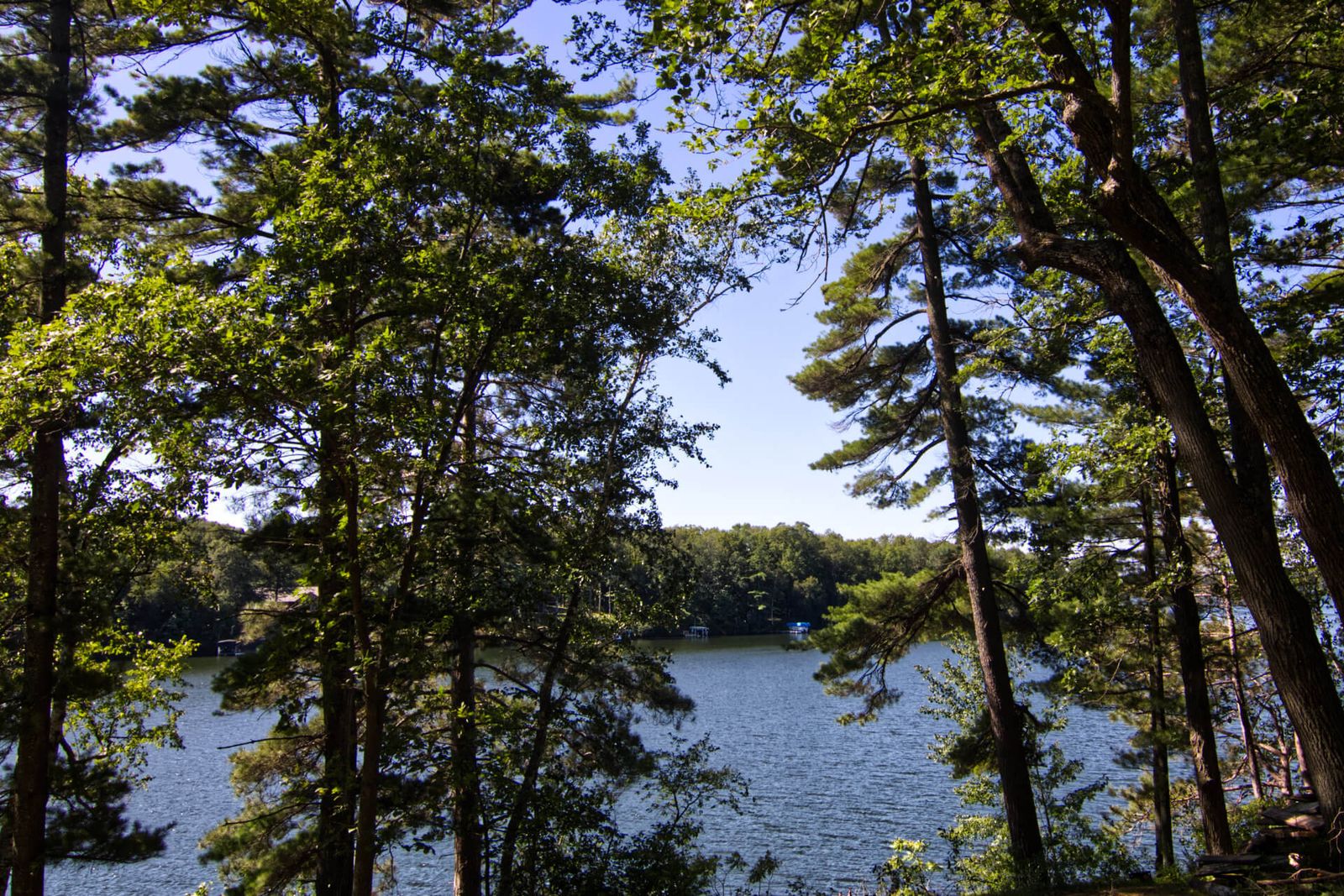 Van Reed Island | Birchwood Wisconsin