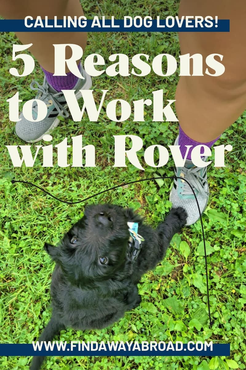 Rover Dog Walking Review: Is It The Best Side Gig?