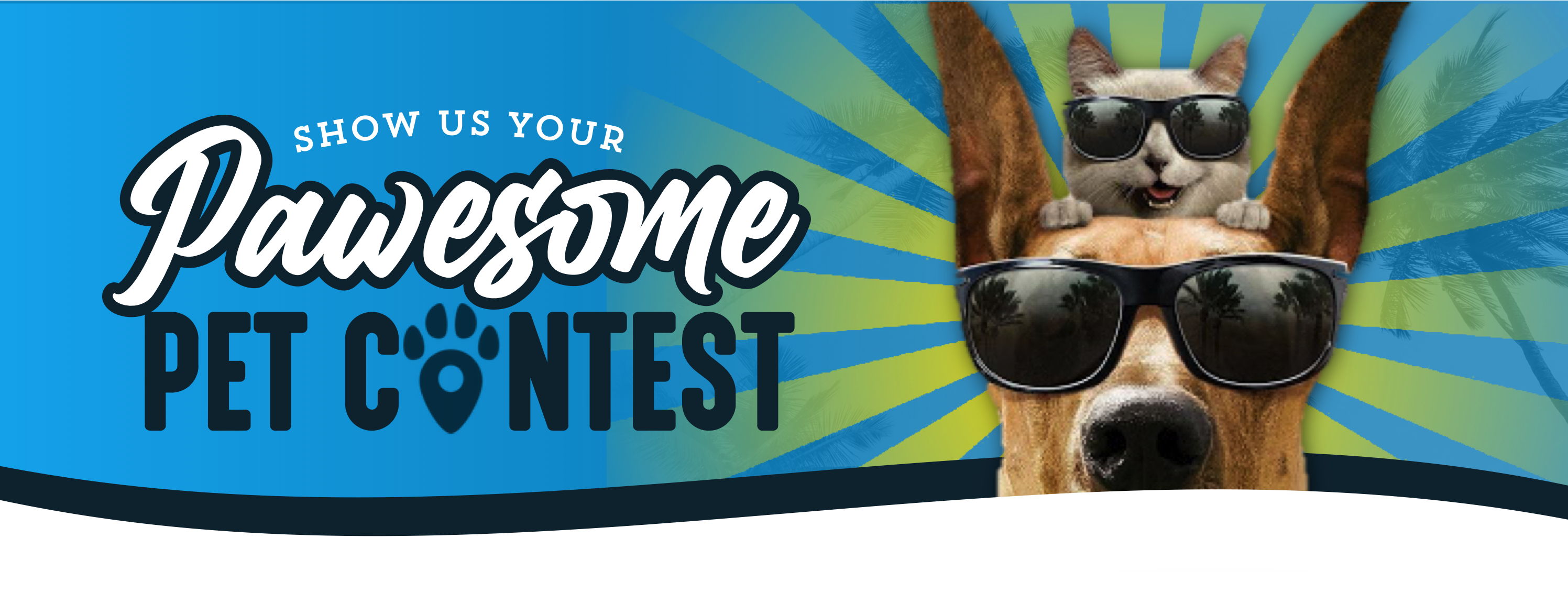 Pawesome pet contest