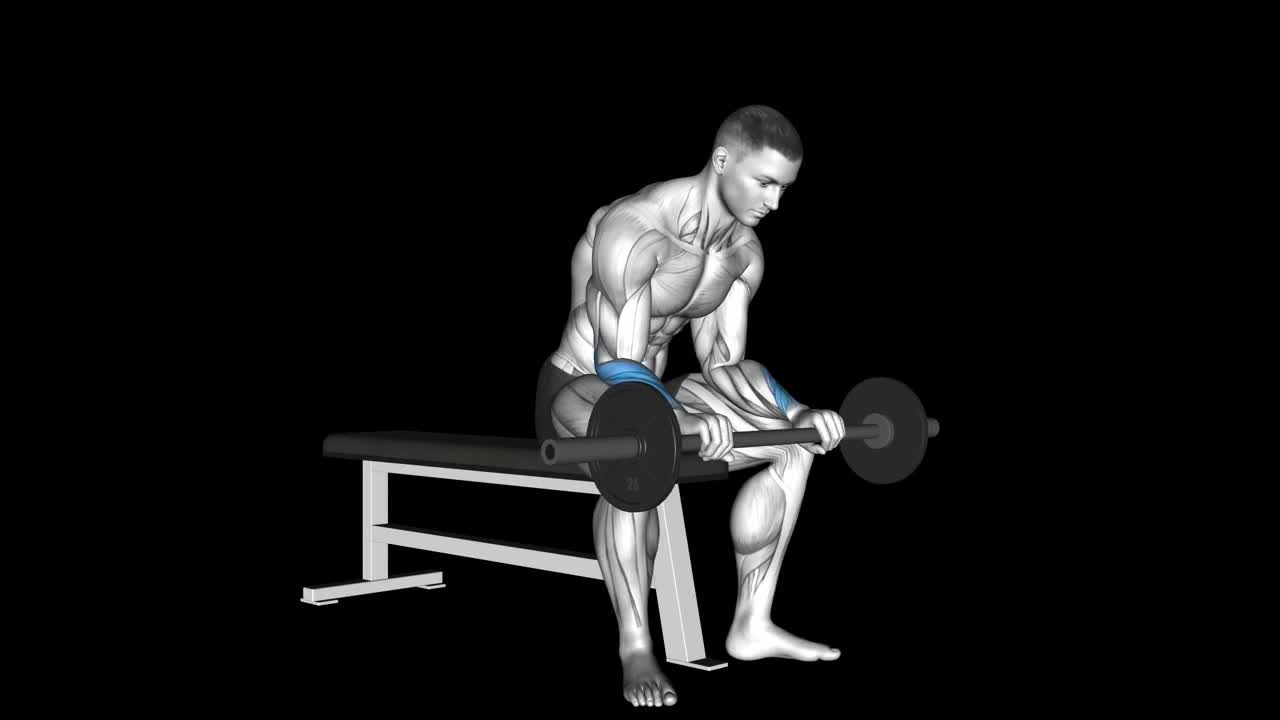 Barbell Reverse Wrist Curl – How To Video, Alternatives & More