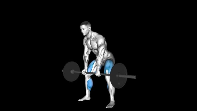 Mid Shin Stiff Legged Barbell Deadlift – How To Video, Alternatives & More