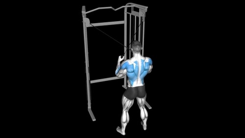 Cable Crossover Reverse Fly – How To Video, Alternatives & More