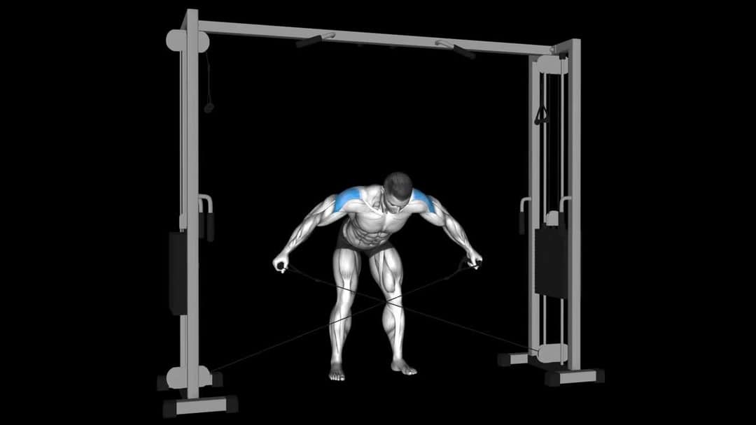 Cable Crossover Reverse Fly – How To Video, Alternatives & More