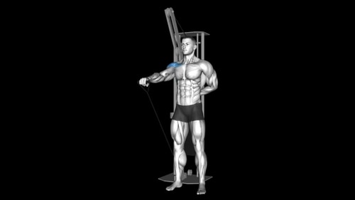 Front Raise – How To Video, Alternatives & More