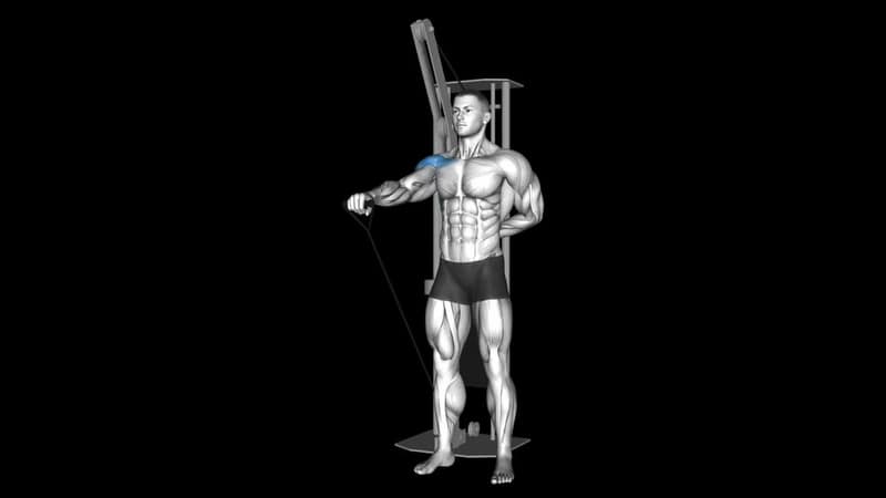 Cable Front Raise – How To Video, Alternatives & More