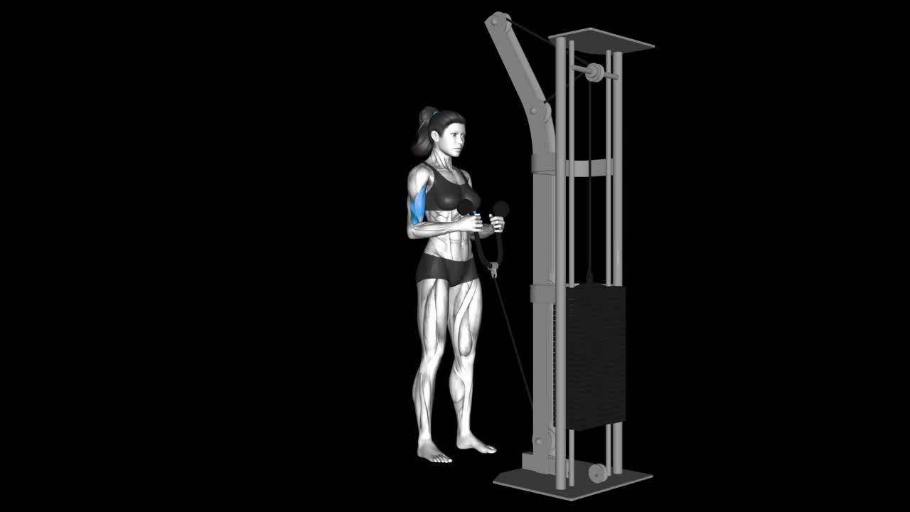 Cable Curl With Lat Bar – How To Video, Alternatives & More