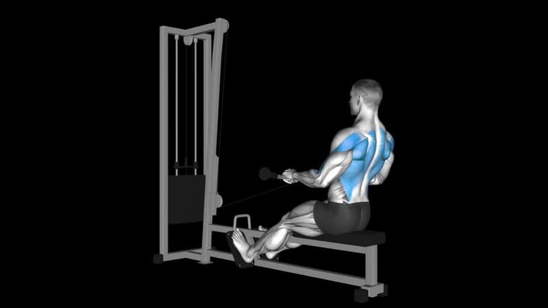 One Arm Cable Seated Row – How To Video, Alternatives & More