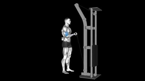 One Arm Cable Curl – How To Video, Alternatives & More