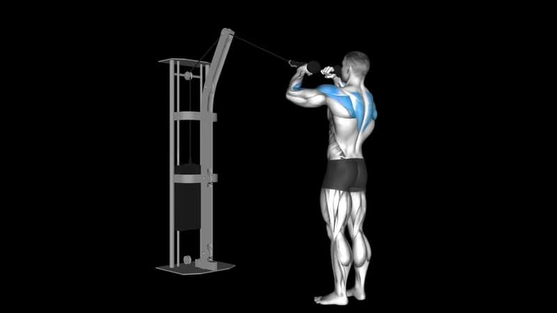 Cable Crossover Reverse Fly – How To Video, Alternatives & More