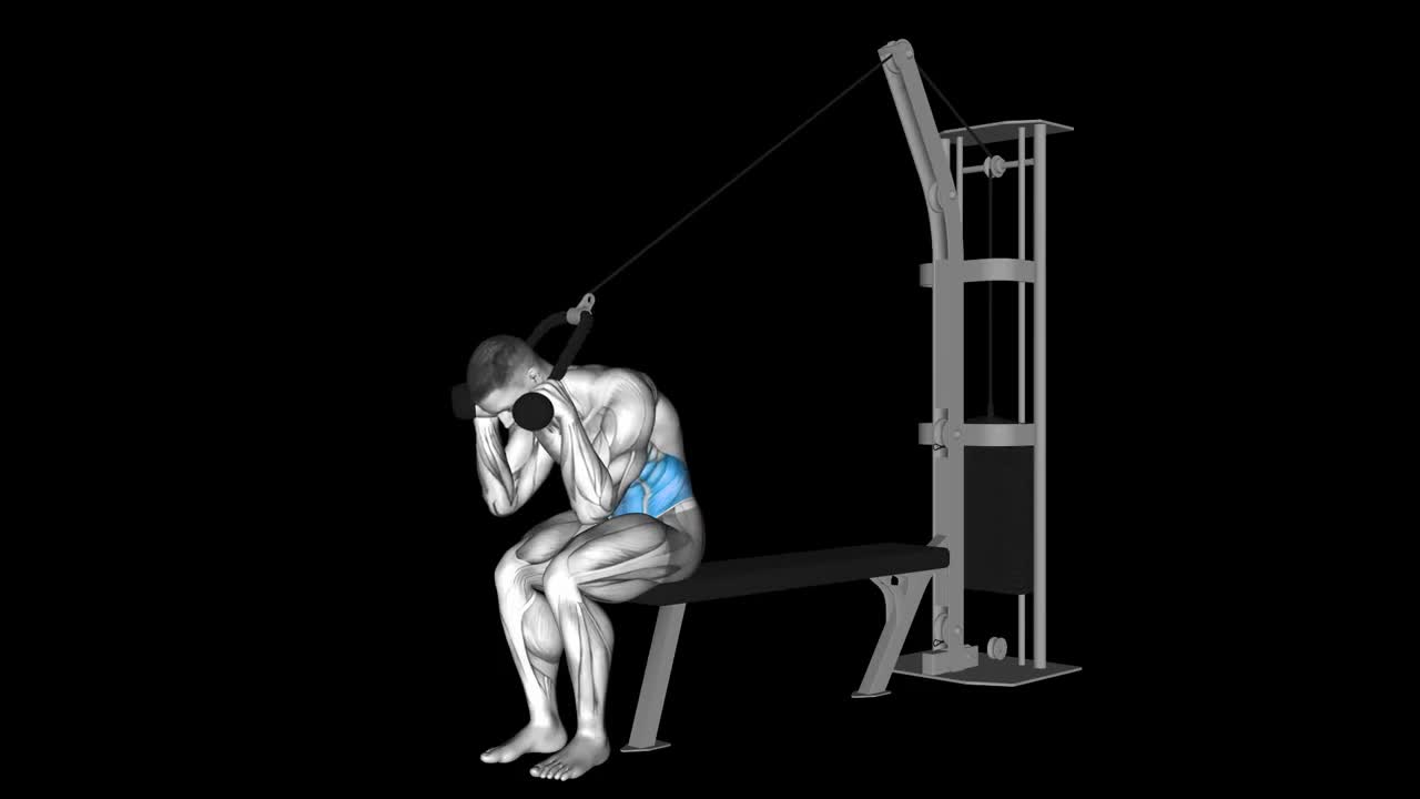 Cable Seated Crunch – How To Video, Alternatives & More