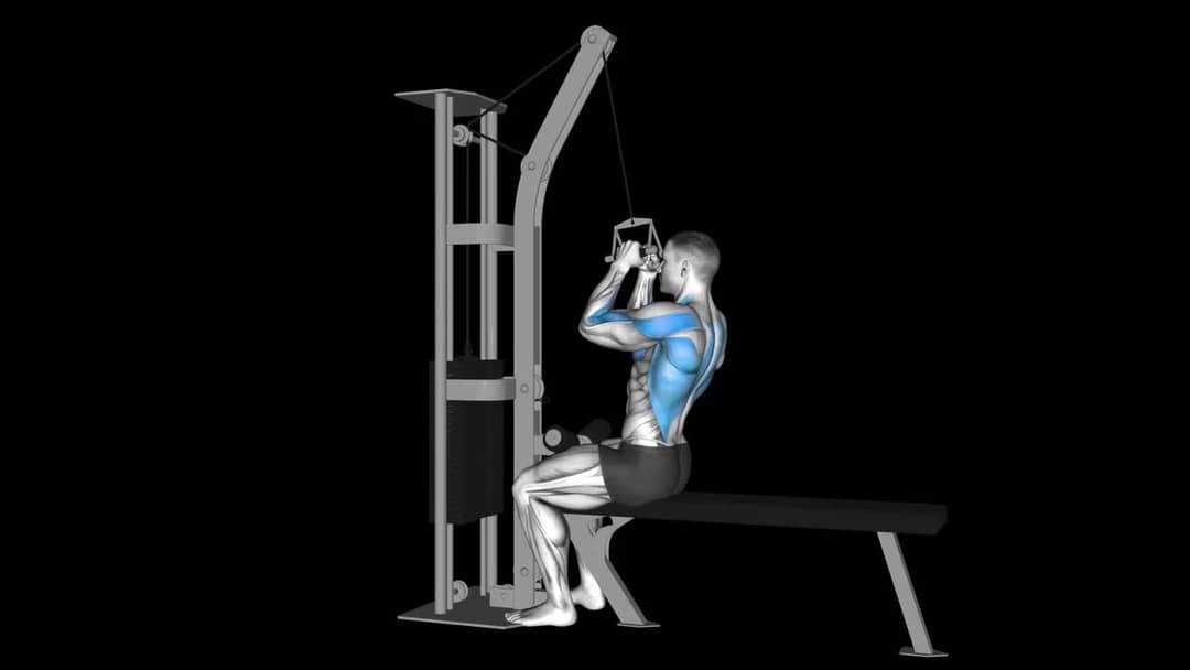 High Row Machine – How To Video, Alternatives & More