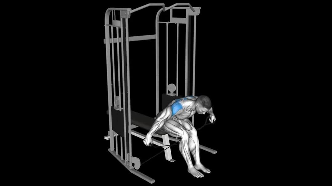 Cable Crossover Reverse Fly – How To Video, Alternatives & More