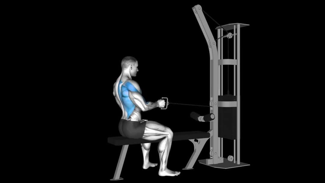 One Arm Cable Seated Row – How To Video, Alternatives & More