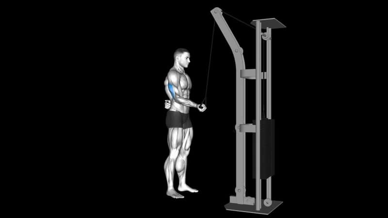 Tricep Extension Machine – How To Video, Alternatives & More