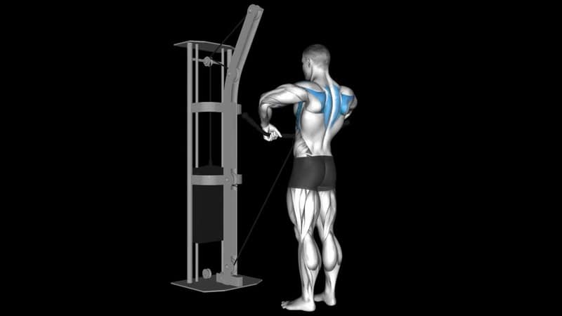 Cable Crossover Reverse Fly – How To Video, Alternatives & More