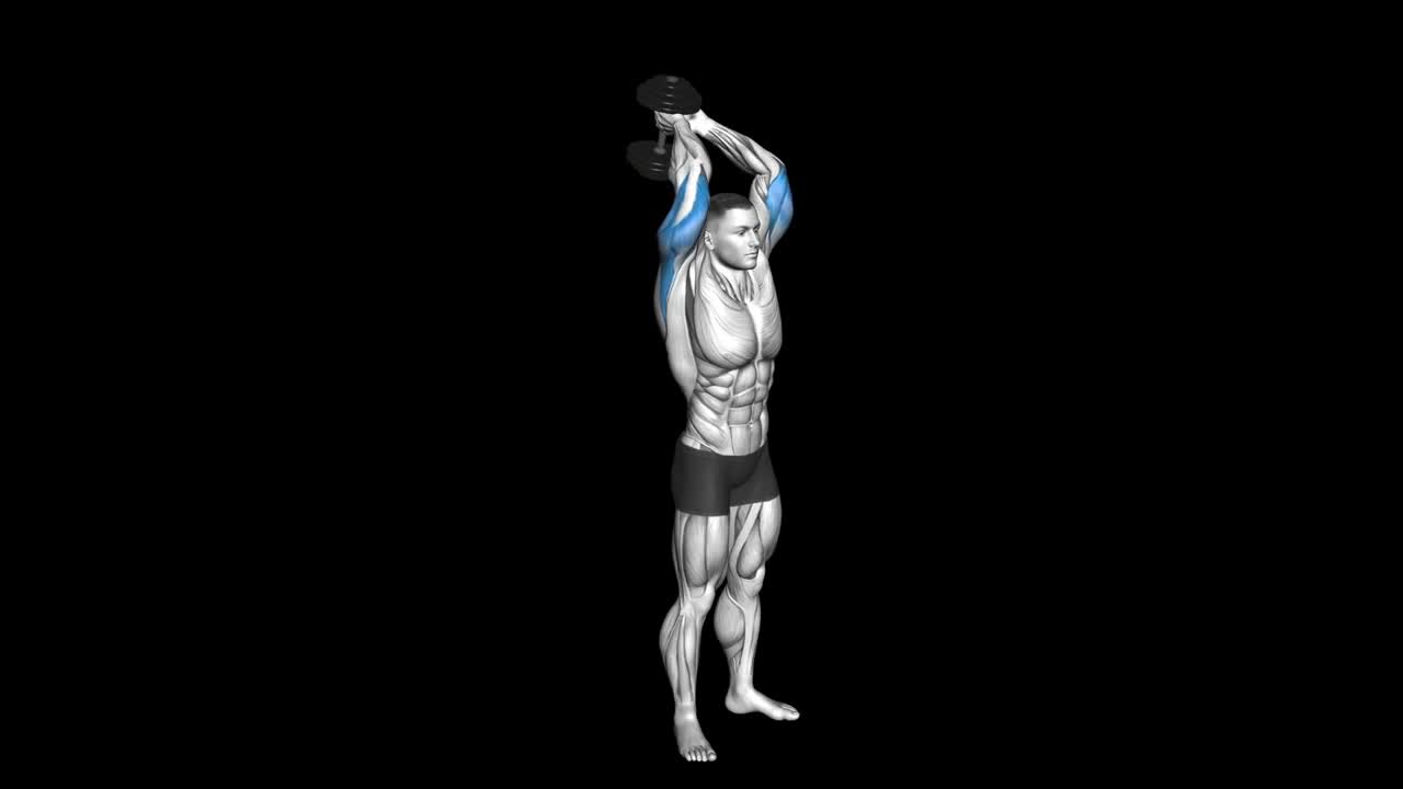 One Arm Tricep Extension – How To Video, Alternatives & More