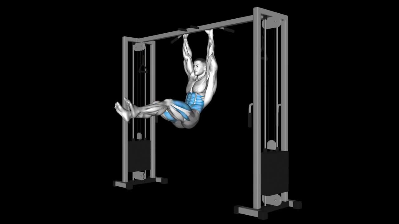 Weighted Hanging Leg Raise To Knee Tuck – How To Video, Alternatives & More