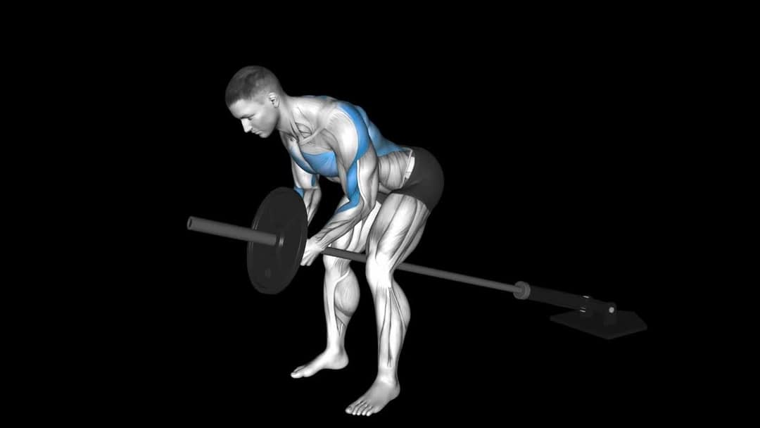 Bent Over Row – How To Video, Alternatives & More