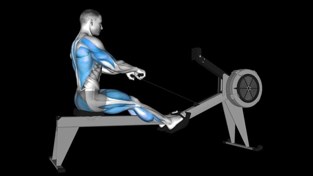 High Row Machine – How To Video, Alternatives & More