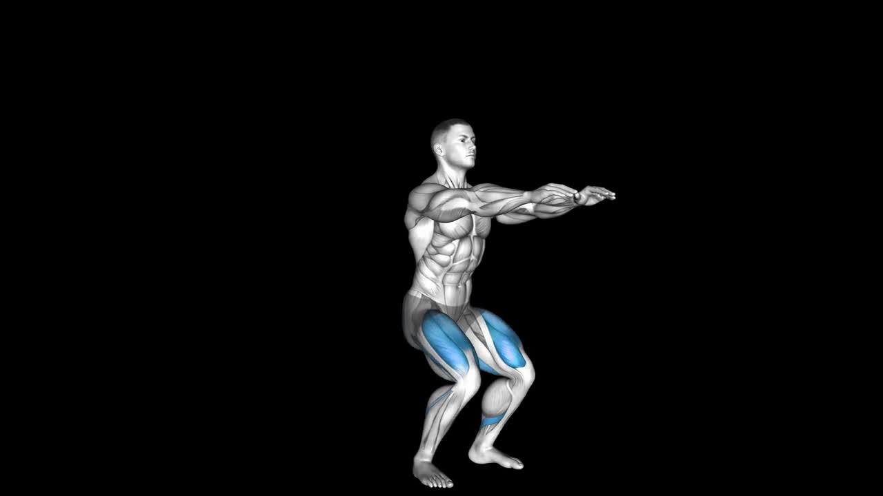 Bodyweight Squat – How To Video, Alternatives & More
