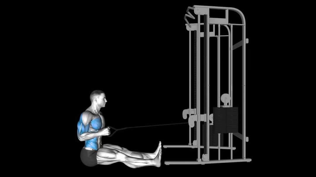 One Arm Cable Seated Row – How To Video, Alternatives & More