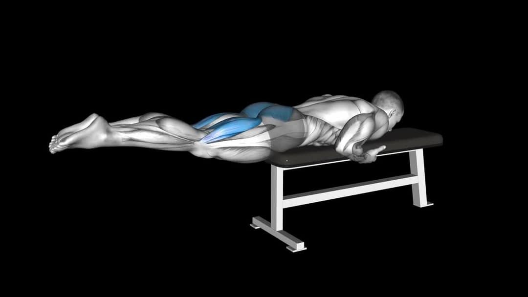 Reverse Hyper – How To Video, Alternatives & More