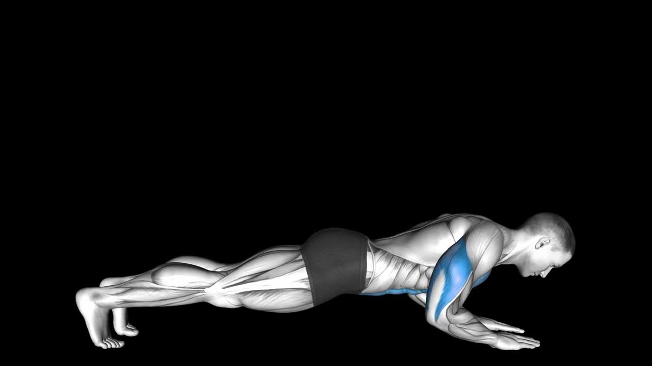 Forearm Push Up – How To Video, Alternatives & More
