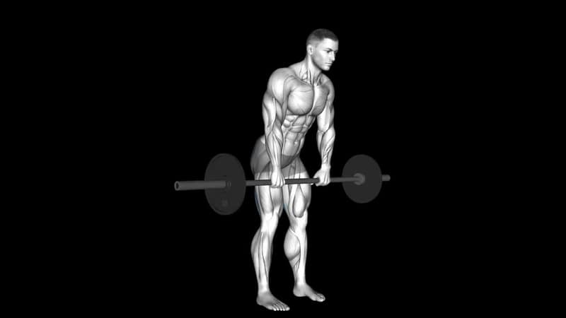 Mid Shin Stiff Legged Barbell Deadlift – How To Video, Alternatives & More