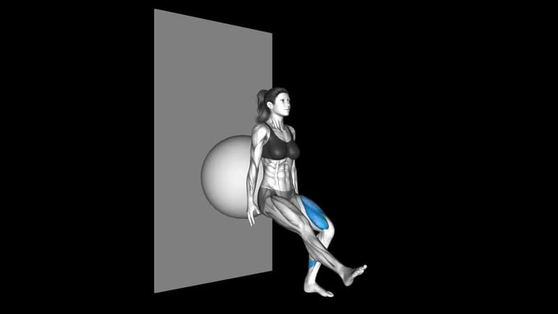 Single Leg Stability Ball Squat – How To Video, Alternatives & More