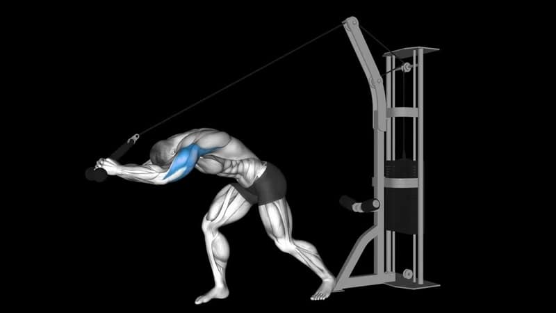 One Arm Tricep Extension – How To Video, Alternatives & More