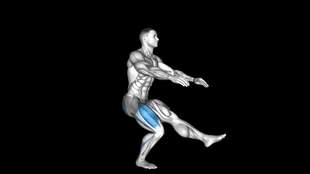 Single Leg Heel Touch Squat How To Video Alternatives And More