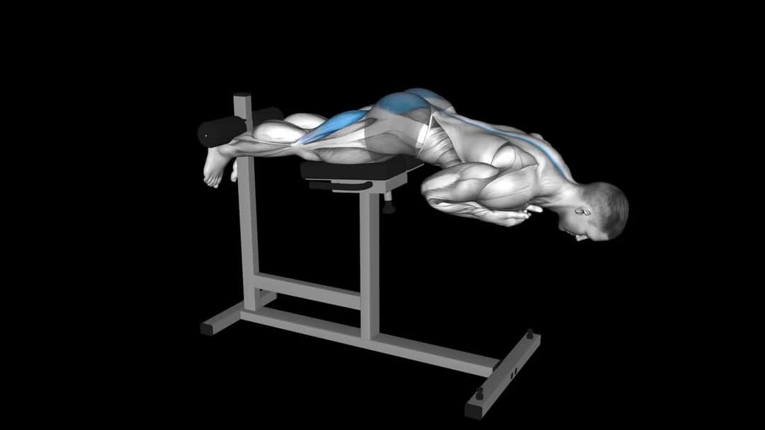 Back Extension Machine – How To Video, Alternatives & More