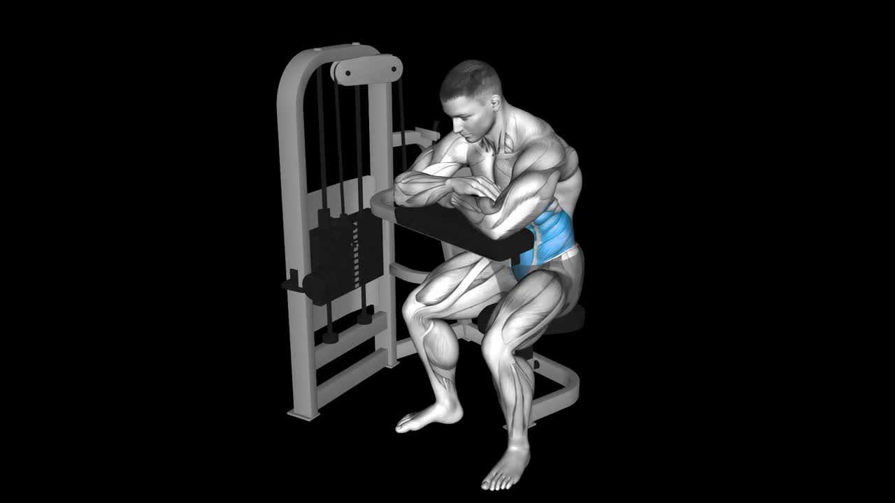 Cable Seated Crunch – How To Video, Alternatives & More