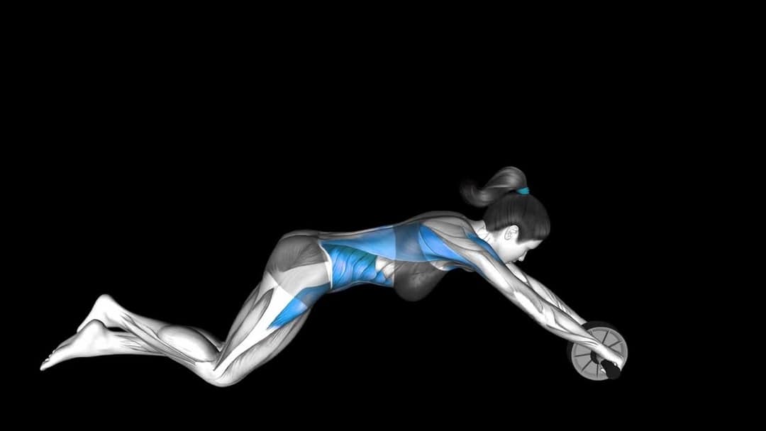 Ab Wheel Rollout – How To Video, Alternatives & More