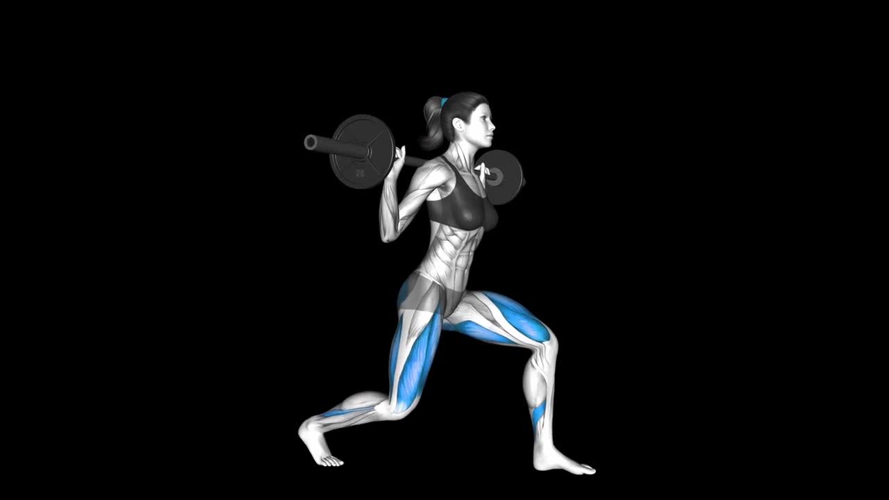 Barbell Split Squat On Bench – How To Video, Alternatives & More