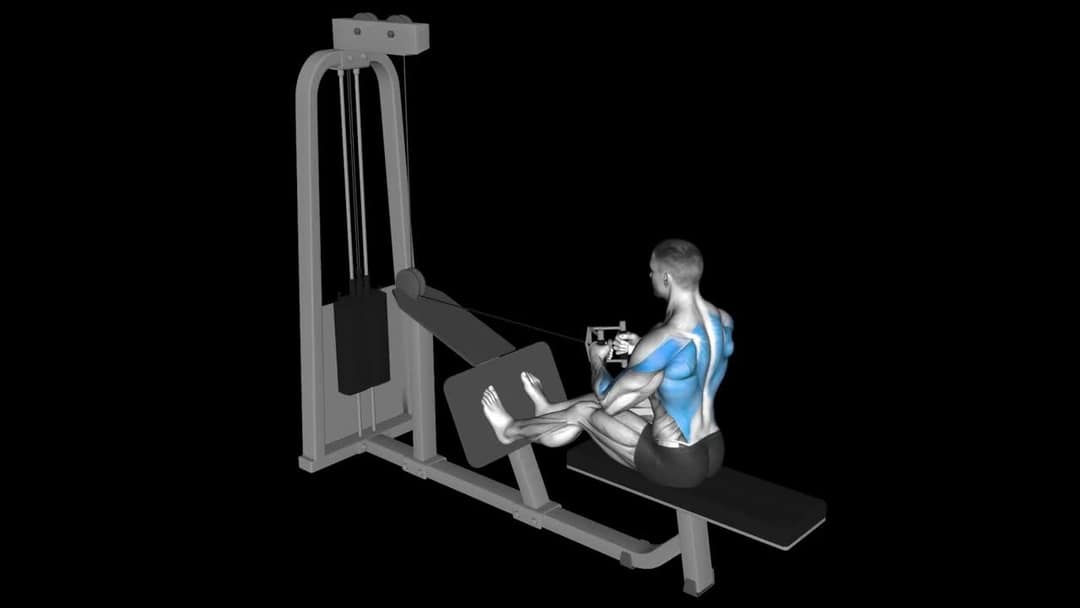 One Arm Cable Seated Row – How To Video, Alternatives & More