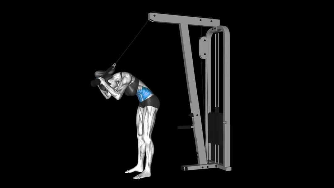 Cable Seated Crunch – How To Video, Alternatives & More