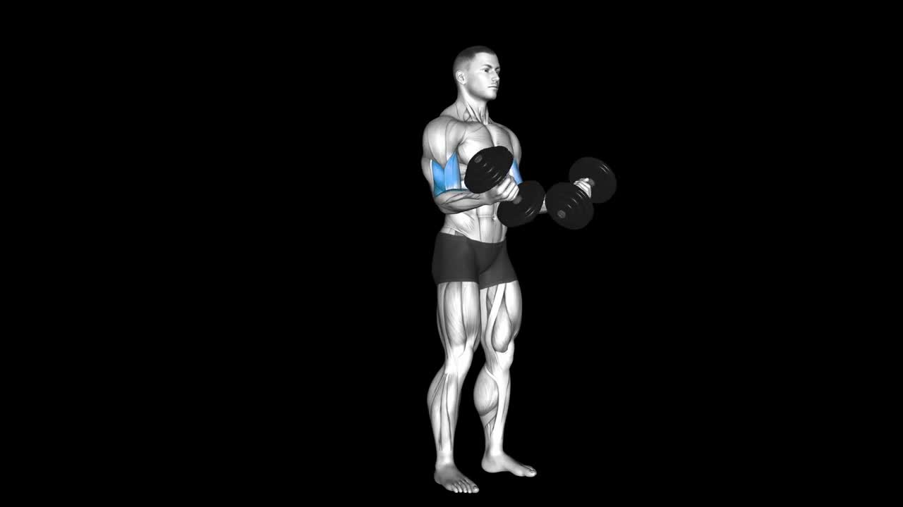 Dumbbell Reverse Curl – How To Video, Alternatives & More