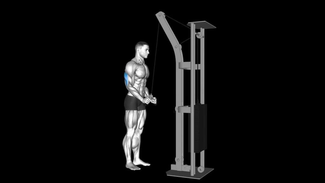 Cobra Push Up – How To Video, Alternatives & More