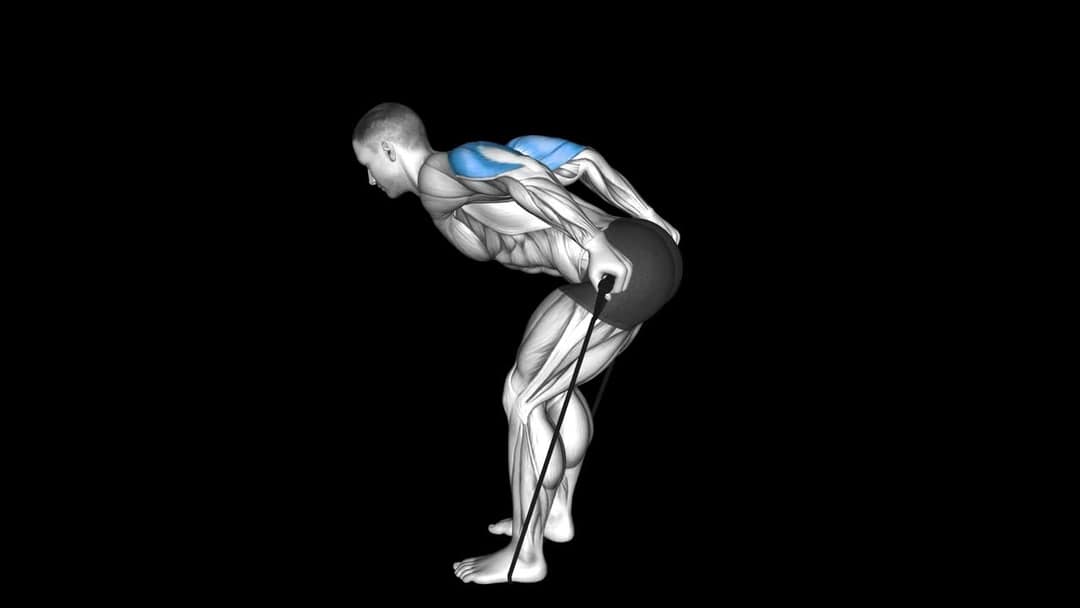 Dumbbell Tricep Kickback – How To Video, Alternatives & More