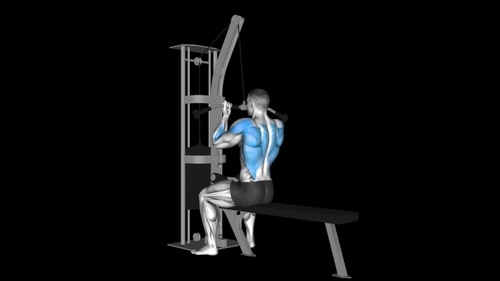 High Row Machine – How To Video, Alternatives & More