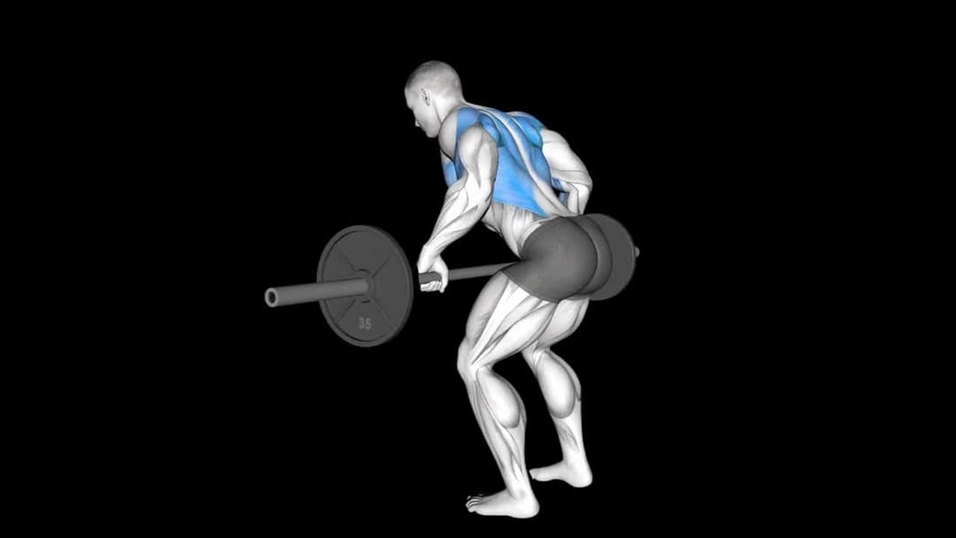 Cable Crossover Row – How To Video, Alternatives & More