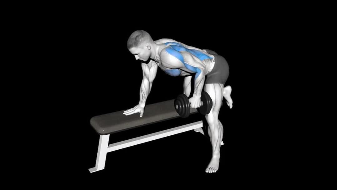 Bent Over Row – How To Video, Alternatives & More