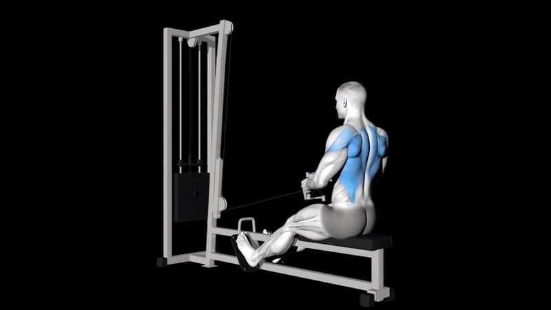 One Arm Cable Seated Row – How To Video, Alternatives & More