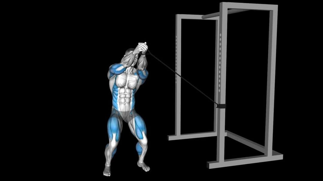 Band Squat Twist – How To Video, Alternatives & More