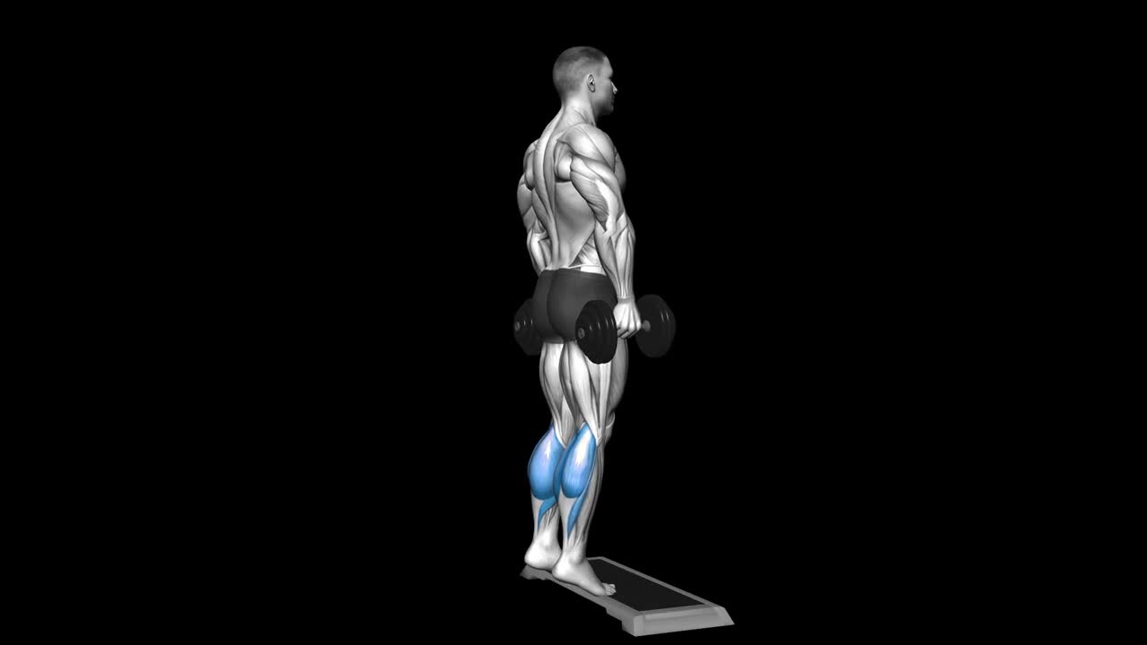 Dumbbell Calf Raise – How To Video, Alternatives & More